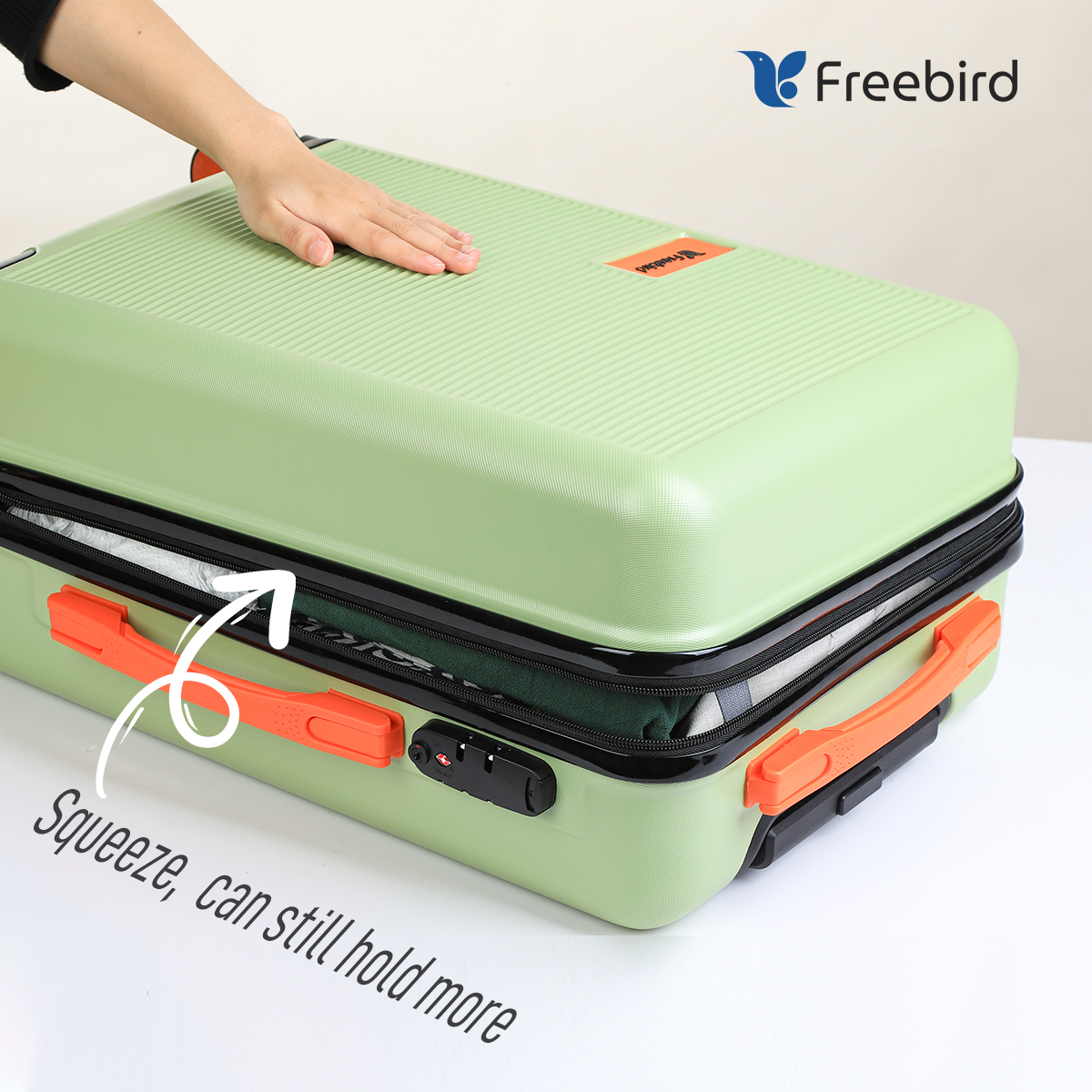 International Travel Anti-theft Series – FreeBird